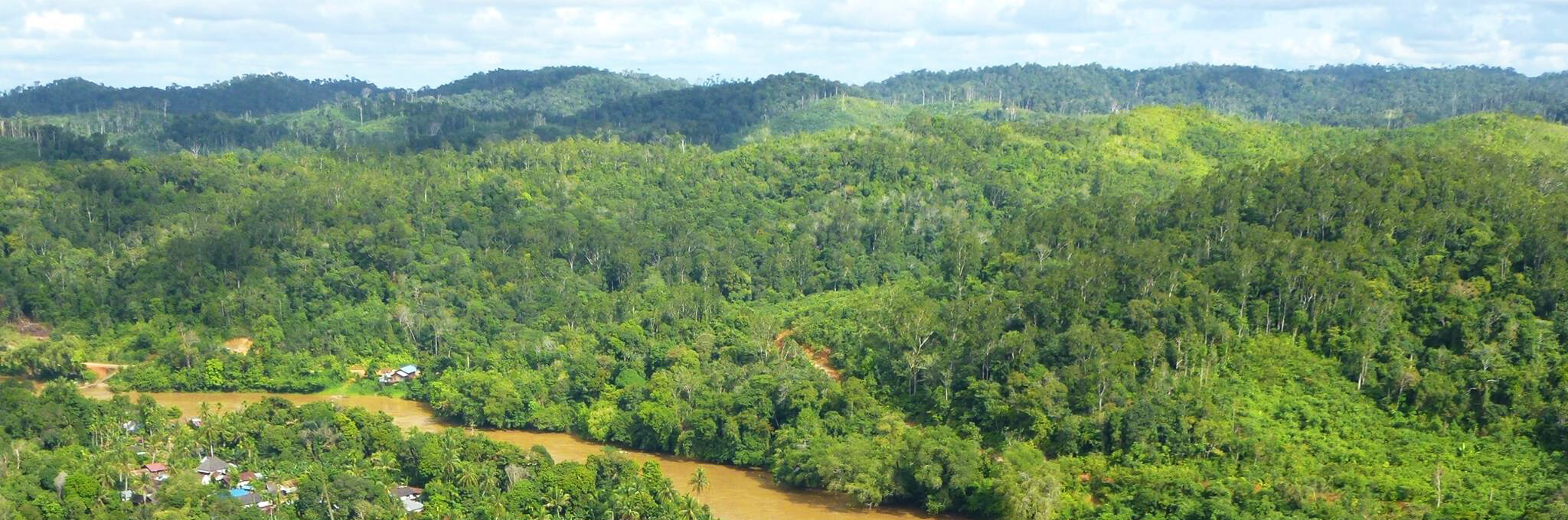 Central Kalimantan | Yayasan Tambuhak Sinta